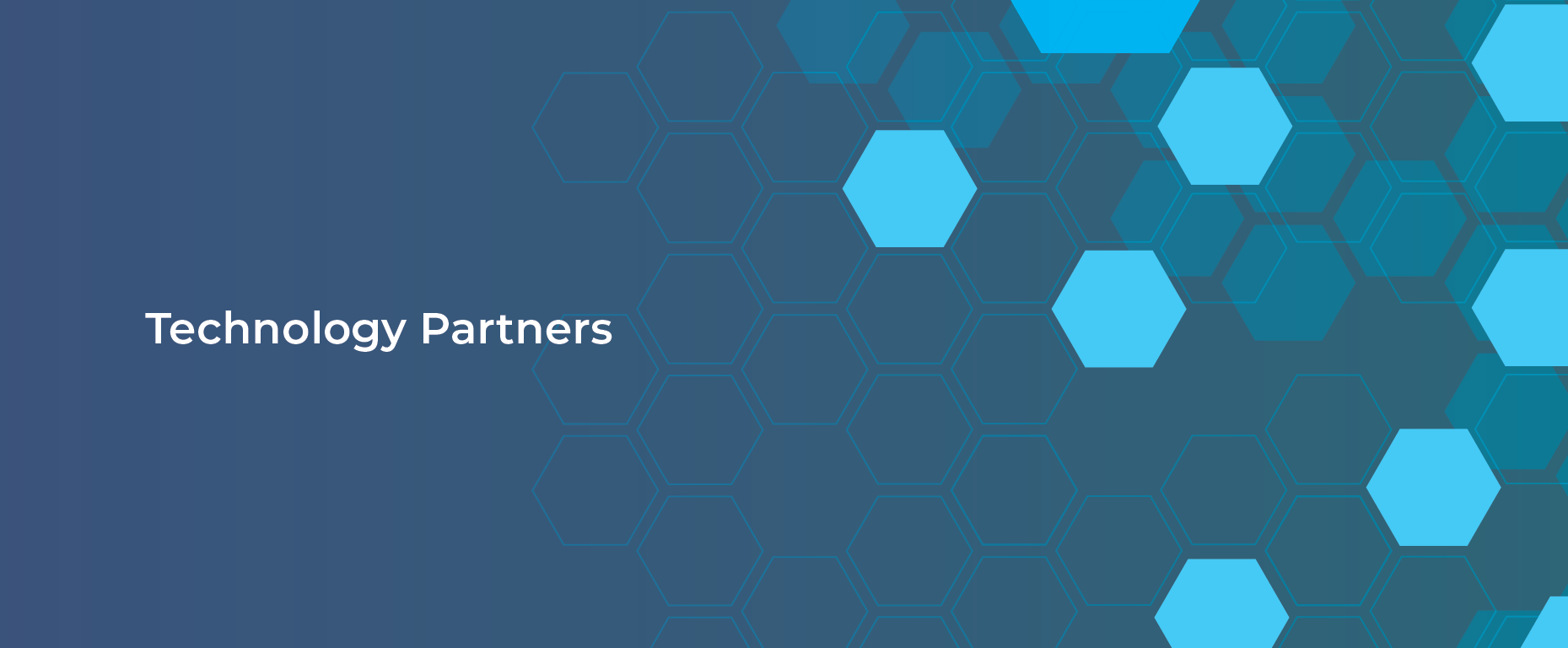 Technology Partners - Innovative Driven